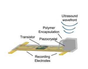SMART Dust, IoT and Nanohumans | Did You Know.Ink